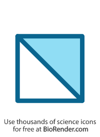 Free TalN Icons, Symbols & Images | BioRender