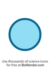 Free Tal Icons, Symbols & Images | BioRender