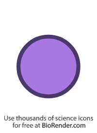 Free All Icons, Symbols & Images | BioRender