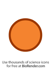 Free Gul Icons, Symbols & Images | BioRender