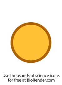 Free Gal Icons, Symbols & Images | BioRender