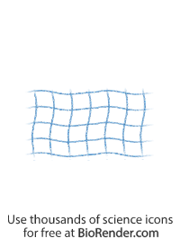 Free Collagen (matrix) Icons, Symbols & Images | BioRender