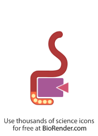 Free Heparin (antithrombin - factor Xa) Icons, Symbols & Images | BioRender