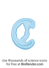 Free Knee Meniscus (lateral, bucket handle tear) Icons, Symbols ...