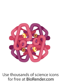 Free Soluble Proteins Icons, Symbols & Images | BioRender