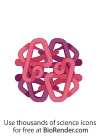Free Hemoglobin Icons, Symbols & Images | BioRender