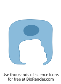 Free M-cell Icons, Symbols & Images | BioRender