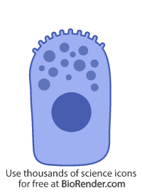 Free Club cell Icons, Symbols & Images | BioRender