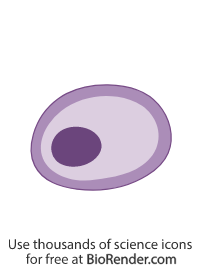 Free Chondrocyte Icons, Symbols & Images | BioRender
