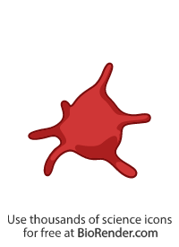 Free Platelet Icons, Symbols & Images | BioRender