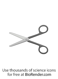 Free Scissors Icons, Symbols & Images | BioRender