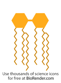 Free Lipid A (3) Icons, Symbols & Images | BioRender