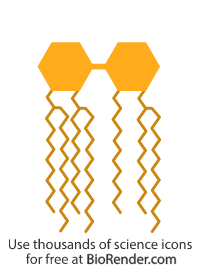 Free Lipid A (2) Icons, Symbols & Images | BioRender