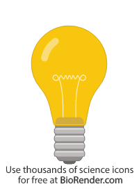 Free Light bulb Icons, Symbols & Images | BioRender