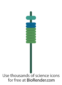 Free Delta-like protein Icons, Symbols & Images | BioRender