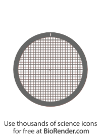 Free TEM grid (200 mesh) Icons, Symbols & Images | BioRender