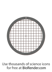 Free TEM grid (100 mesh) Icons, Symbols & Images | BioRender