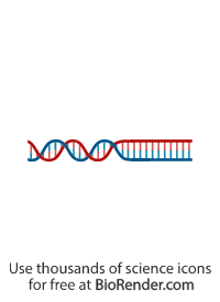 Free DNA (with Nucleotides) Icons, Symbols & Images | BioRender
