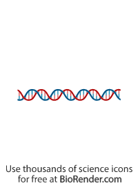 Free DNA (long) Icons, Symbols & Images | BioRender