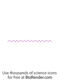 Free RNA (long) Icons, Symbols & Images | BioRender