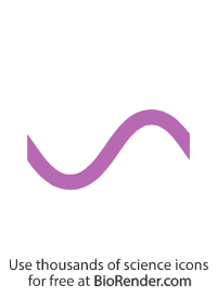 Free RNA Icons, Symbols & Images | BioRender