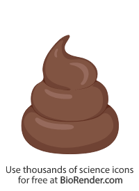 Free Stool Icons, Symbols & Images | BioRender