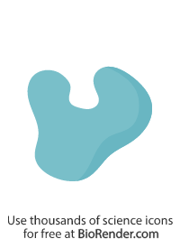 Free Reverse transcriptase Icons, Symbols & Images | BioRender