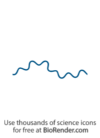 Free ssDNA (2D, squiggle 2) Icons, Symbols & Images | BioRender