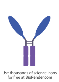 Free Fc fusion protein Icons, Symbols & Images | BioRender