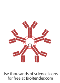 Free Antibody IgM (pentamer) Icons, Symbols & Images | BioRender