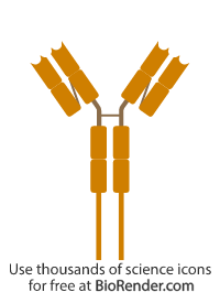 Free Receptors and Ligands Icons, Symbols & Images | BioRender