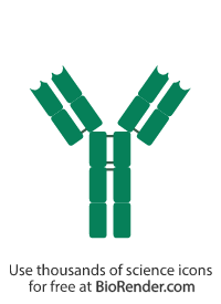 Free Antibody IgY Icons, Symbols & Images | BioRender