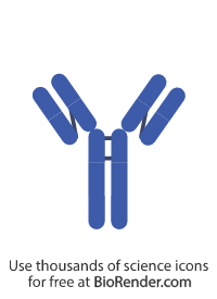 Free Antibodies Icons, Symbols & Images | BioRender