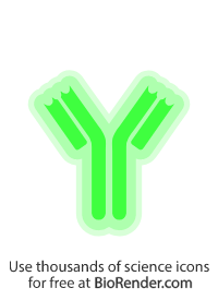 Free Antibodies Icons, Symbols & Images | BioRender