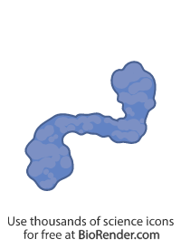 Free Generic protein (S) Icons, Symbols & Images | BioRender