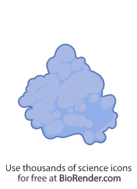 Free Generic protein (blob 1) Icons, Symbols & Images | BioRender