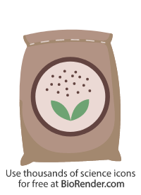Free Plant fertilizer Icons, Symbols & Images | BioRender
