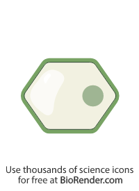 Free Plant cell (hexagon) Icons, Symbols & Images | BioRender