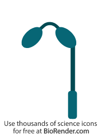 Free Fc receptor (CD32) Icons, Symbols & Images | BioRender