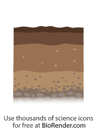 Free Soil profile Icons, Symbols & Images | BioRender