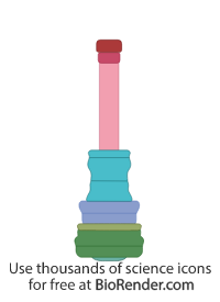 Free Type 3 secretion system Icons, Symbols & Images | BioRender