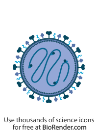 Free Human Metapneumovirus (hMPV) Icons, Symbols & Images | BioRender