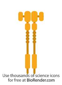 Free MET Icons, Symbols & Images | BioRender