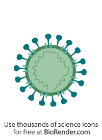 Free SARS Icons, Symbols & Images | BioRender