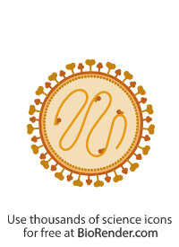 Free Measles Icons, Symbols & Images | BioRender