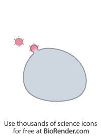 Free Viral infection Icons, Symbols & Images | BioRender