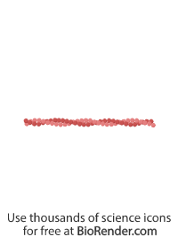 Free Actin Icons, Symbols & Images | BioRender