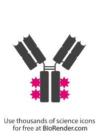 Free Antibodies Icons, Symbols & Images | BioRender