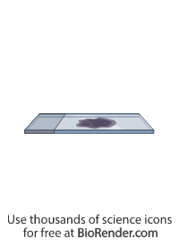 Microscope Slide Samples