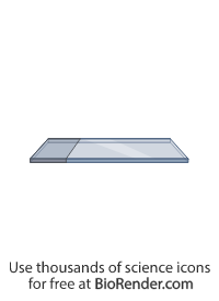 Free Microscope slide (side view) Icons, Symbols & Images | BioRender